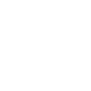 The Mark: A New Hip Hook by Aletha Health